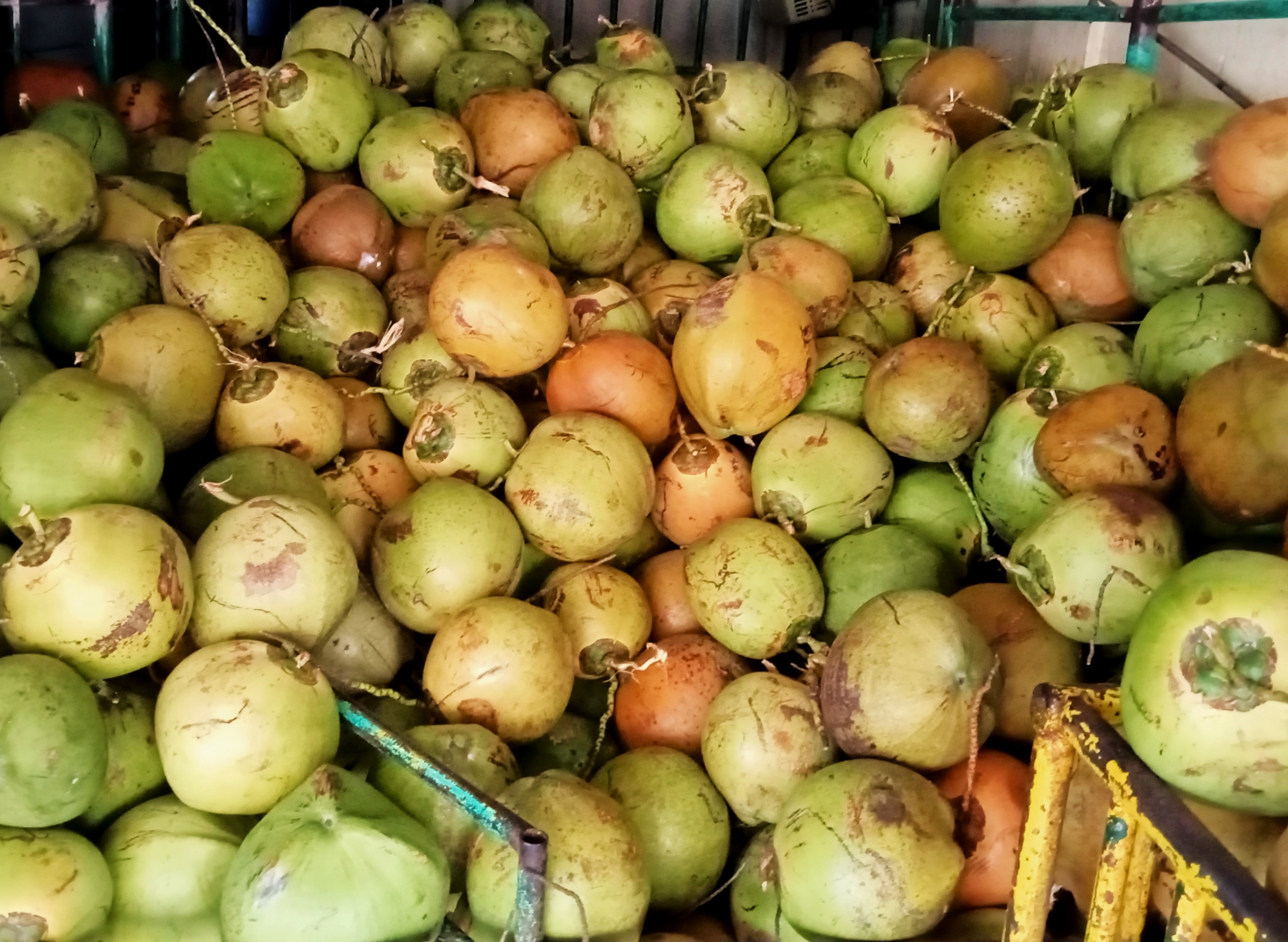 Gina's Buko - Zamora menu price 2022-2023 near Dagupan in Dagupan ...