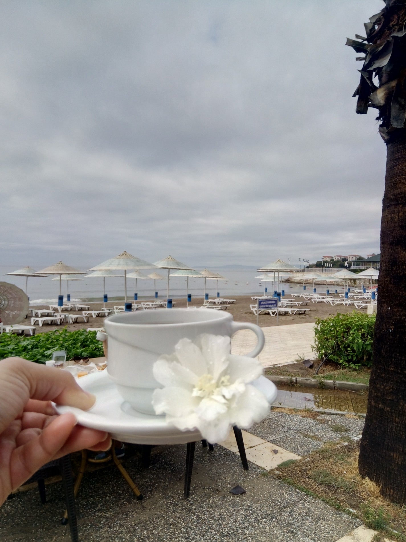 Manolya Restaurant menü fiyatları 2022-2023.Çukuraltı, İzmir Yemek ...