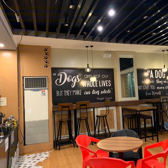Barking Cafe near me in Iloilo City - Discover Cafe food restaurant ...