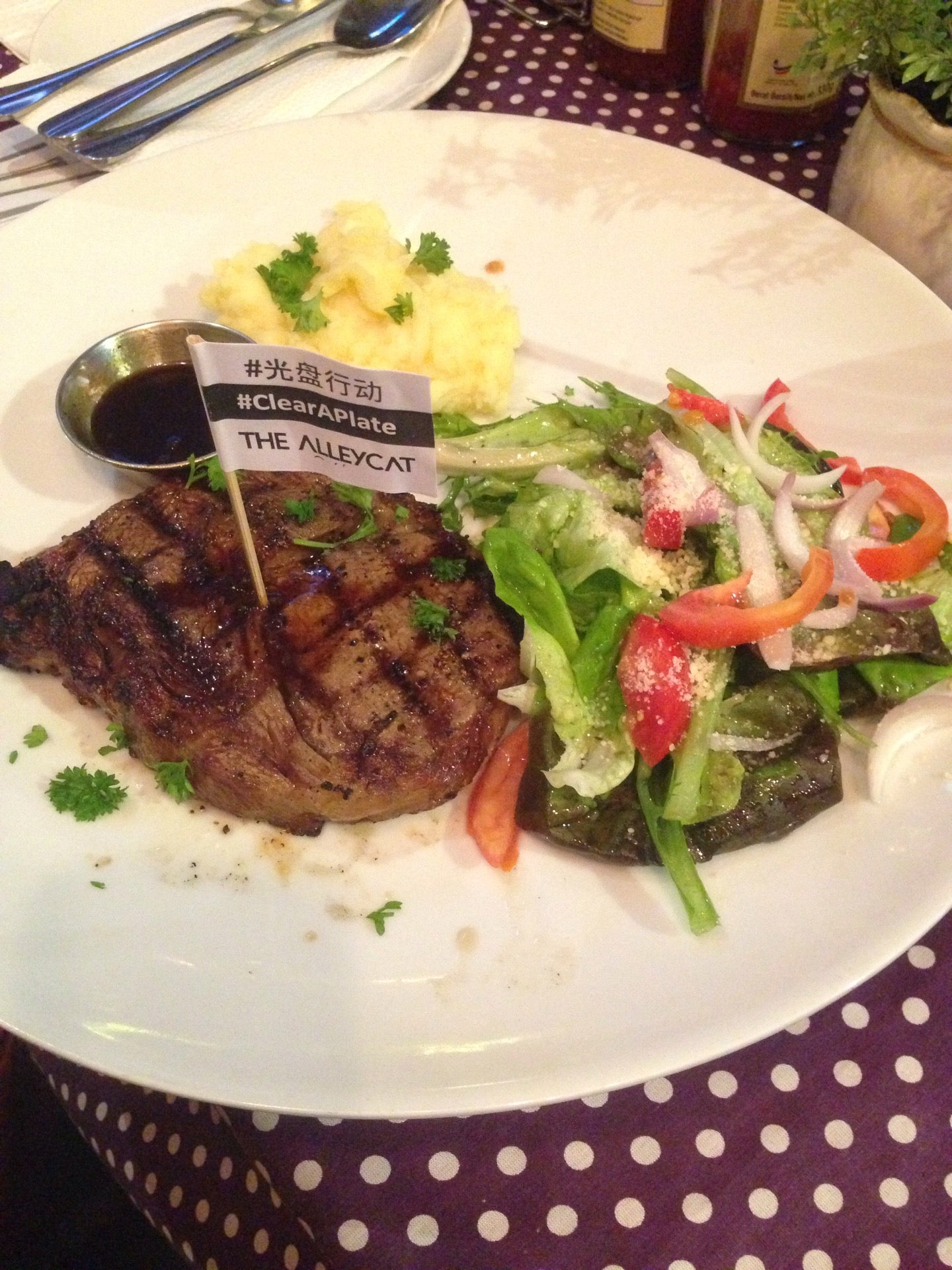 The Alleycat's CAFE menu and price 2022-2023 | YummyAdvisor