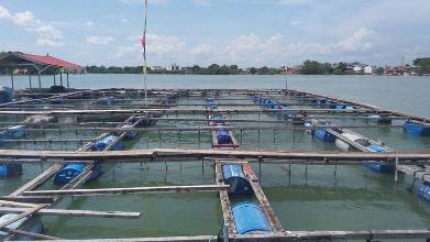 TIRAM MUAR menu and price 2022-2023 | YummyAdvisor