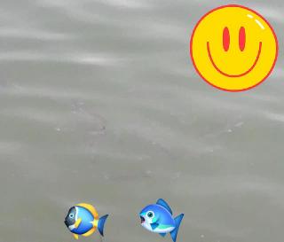 Deep Sea Seafood Restaurant Labuan menu and price 2022-2023 | YummyAdvisor