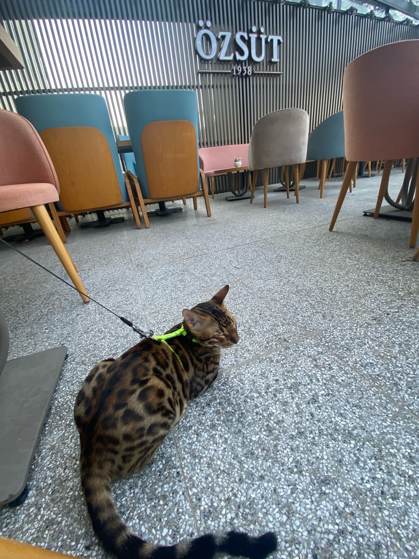 Ozsut menü fiyatları 2022-2023.Ilıca, İzmir Coffee - YummyAdvisor