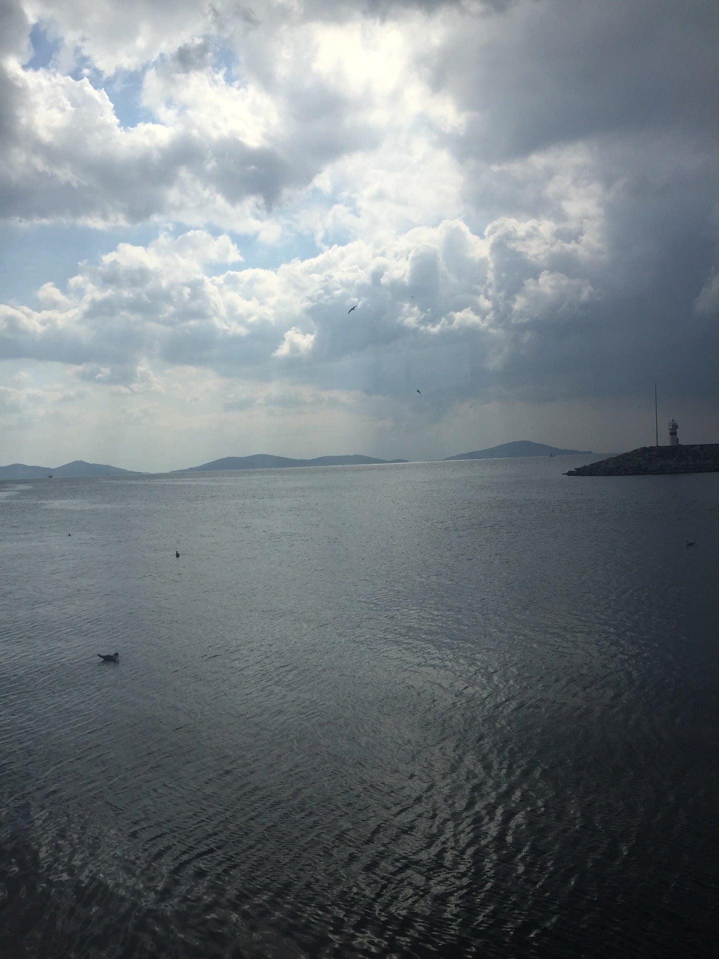 ALTIN ELDIVEN DŰRŰM menü fiyatları 2022-2023.Altıntepe, İstanbul Yemek ...